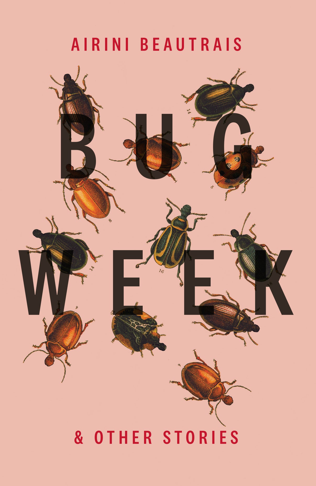 Bug Week – Te Herenga Waka University Press
